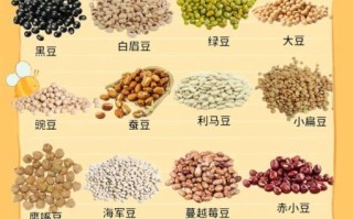 豆类大全图片及名字_常见豆类有哪些