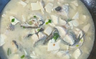 黑头鱼汤怎么炖不腥_黑头鱼汤的做法大全窍门