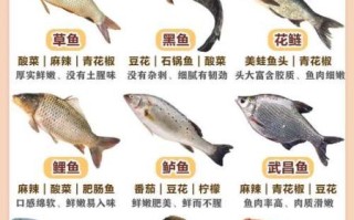 鱼火锅的做法_鱼火锅需要哪些配料