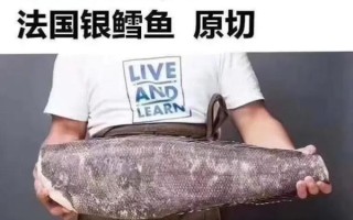 银鳕鱼长什么样_银鳕鱼图片大全怎么辨别真假