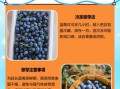 蓝莓怎么保存_蓝莓可以放多久