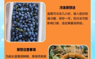 蓝莓怎么保存_蓝莓可以放多久