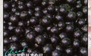 嘉宝果怎么吃_嘉宝果几年结果