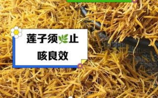 莲子须的功效与作用禁忌_孕妇能吃吗