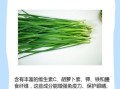 长期吃韭菜有什么好处_韭菜对男性真的有用吗
