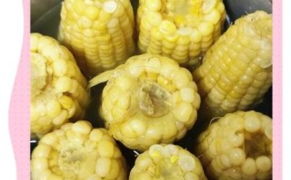 玉米怎么煮好吃_玉米的做法大全