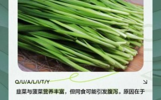 韭菜不能和什么一起吃会中毒_韭菜和什么食物相克