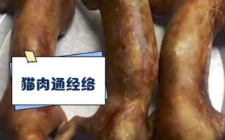 吃猫肉犯法吗_吃猫肉违法吗