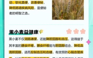 黑麦的功效与作用_黑麦怎么吃最营养