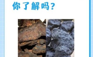 生地和熟地的区别_生地和熟地的功效一样吗