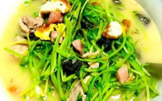 上汤豆苗是什么豆发的_上汤豆苗用哪种豆子