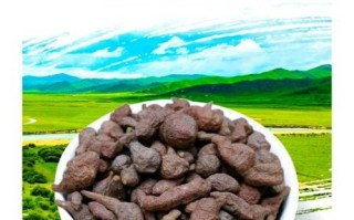 蕨麻是什么_蕨麻怎么吃效果最好