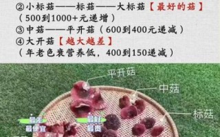 红蘑菇的功效与作用_红蘑菇怎么吃效果最好