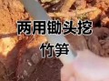山药怎么挖不伤根_挖山药用什么工具最好