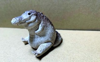 宠物鳄鱼多少钱一只_鳄鱼当宠物合法吗