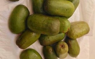 黑龙江特产水果有哪些_黑龙江水果哪里最正宗