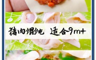 小馄饨怎么煮不破皮_小馄饨煮几分钟才熟