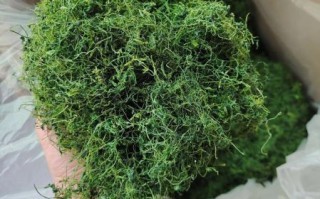 绞股蓝多少钱一斤_绞股蓝价格影响因素