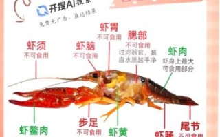 龙虾不能和什么一起吃_吃龙虾的禁忌有哪些