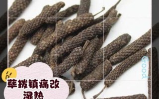 荜拨在卤水中的作用_荜拨香料怎么用
