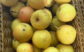 南果梨热量是多少_减肥能吃吗