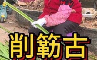 包粽子的绳子叫什么_粽绳用什么材料最好