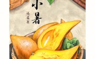 小暑节气吃什么水果_哪些水果最解暑