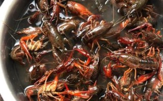 正宗十三香龙虾怎么做_十三香龙虾配方比例