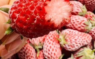 冻草莓怎么做_冻草莓能保存多久