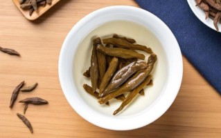 苦丁茶图片_苦丁茶长什么样