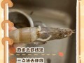 虾线怎么挑出来最方便_虾线快速去除技巧