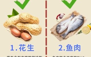 吃什么能提高记忆力_记忆力下降吃什么食物好