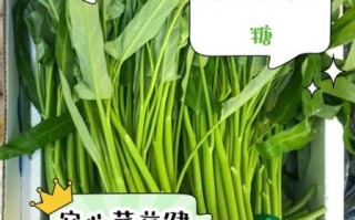 空心菜降血压吗_空心菜的营养价值有哪些