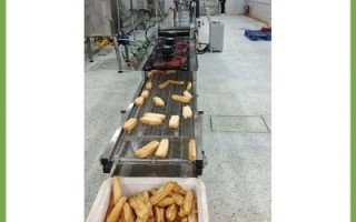 油条机多少钱一台_商用油条机价格表