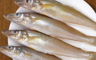 丁香鱼是什么鱼_丁香鱼产地在哪里