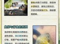 虎皮鱼怎么养_虎皮鱼能活多久