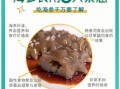 海参的营养价值及功效_海参的禁忌有哪些