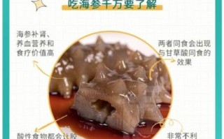 海参的营养价值及功效_海参的禁忌有哪些