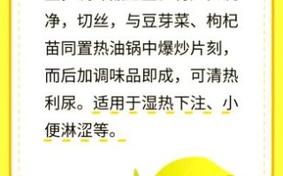 黄豆芽怎么发最快_黄豆芽的营养价值