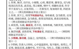 四逆汤标准配方用量_四逆汤煎服方法