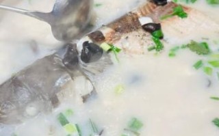 鱼怎么炖好吃_鱼汤怎么炖好喝