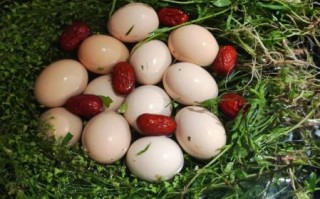 荠菜煮鸡蛋什么时候吃最好_荠菜煮鸡蛋的功效与禁忌