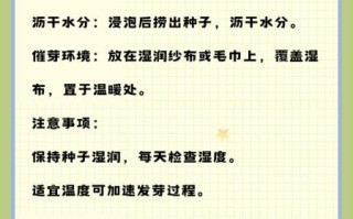 香菜籽要压碎了种吗_香菜籽怎么种发芽快