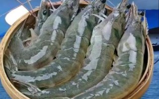 大青虾怎么做好吃_大青虾价格多少钱一斤