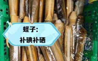 海蛏子有什么营养价值_海蛏子怎么吃最补