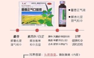 藿香的功效与作用_藿香正气水怎么用