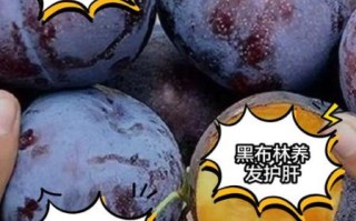 黑布林的功效与作用_黑布林的禁忌人群