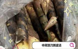 竹笋怎么剥皮_竹笋剥皮视频教程