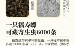 福寿螺怎么彻底消灭_福寿螺的天敌有哪些