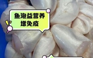 鱼泡泡有什么营养价值_鱼泡泡的功效与作用